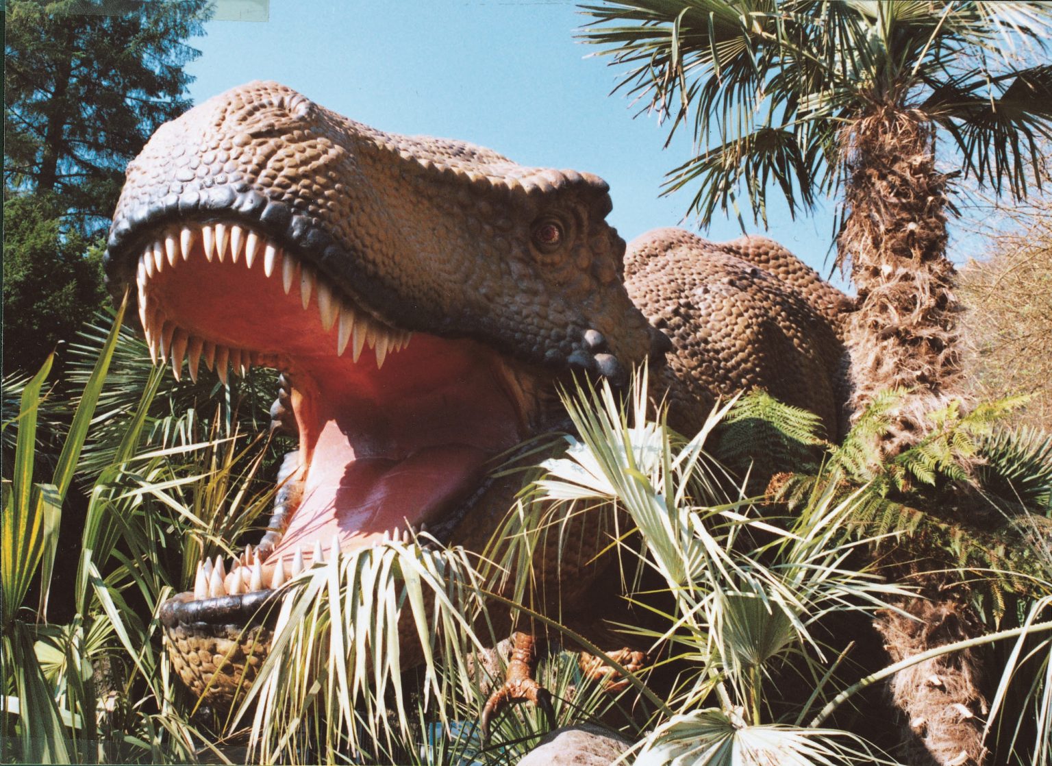 The Felin Fach Griffin - Bannau Brycheiniog