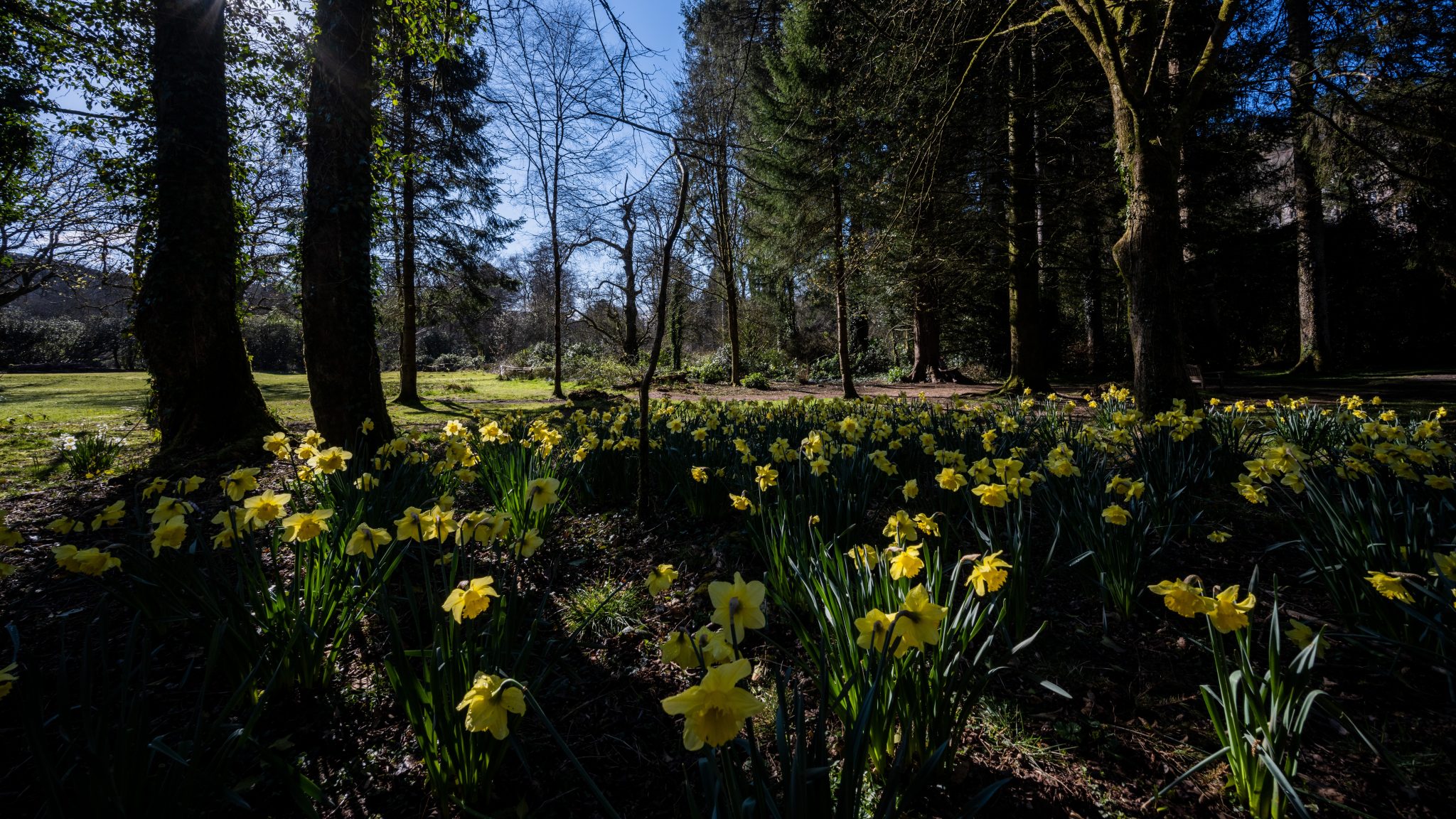 Craig y nos Country Park - Bannau Brycheiniog