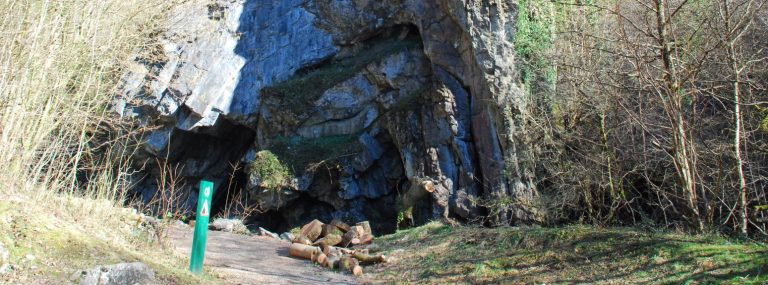 Llangorse - Bannau Brycheiniog Lakeside Village in (Brecon Beacons ...
